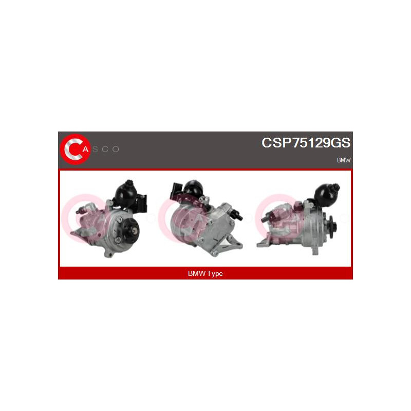 Pompe hydraulique (direction) CASCO CSP75129GS | MonPetitMécano